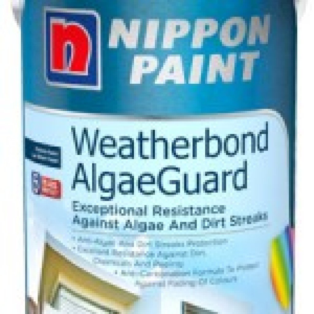 Exterior Paint – Painter Cube Painting Services Singapore